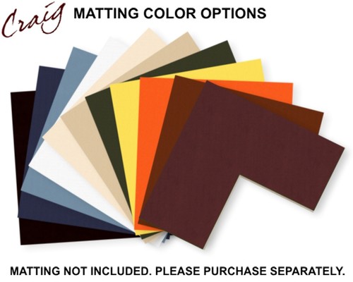 Craig Frames Balla, 1.5" Modern Brazilian Walnut Brown Picture Frame | eBay