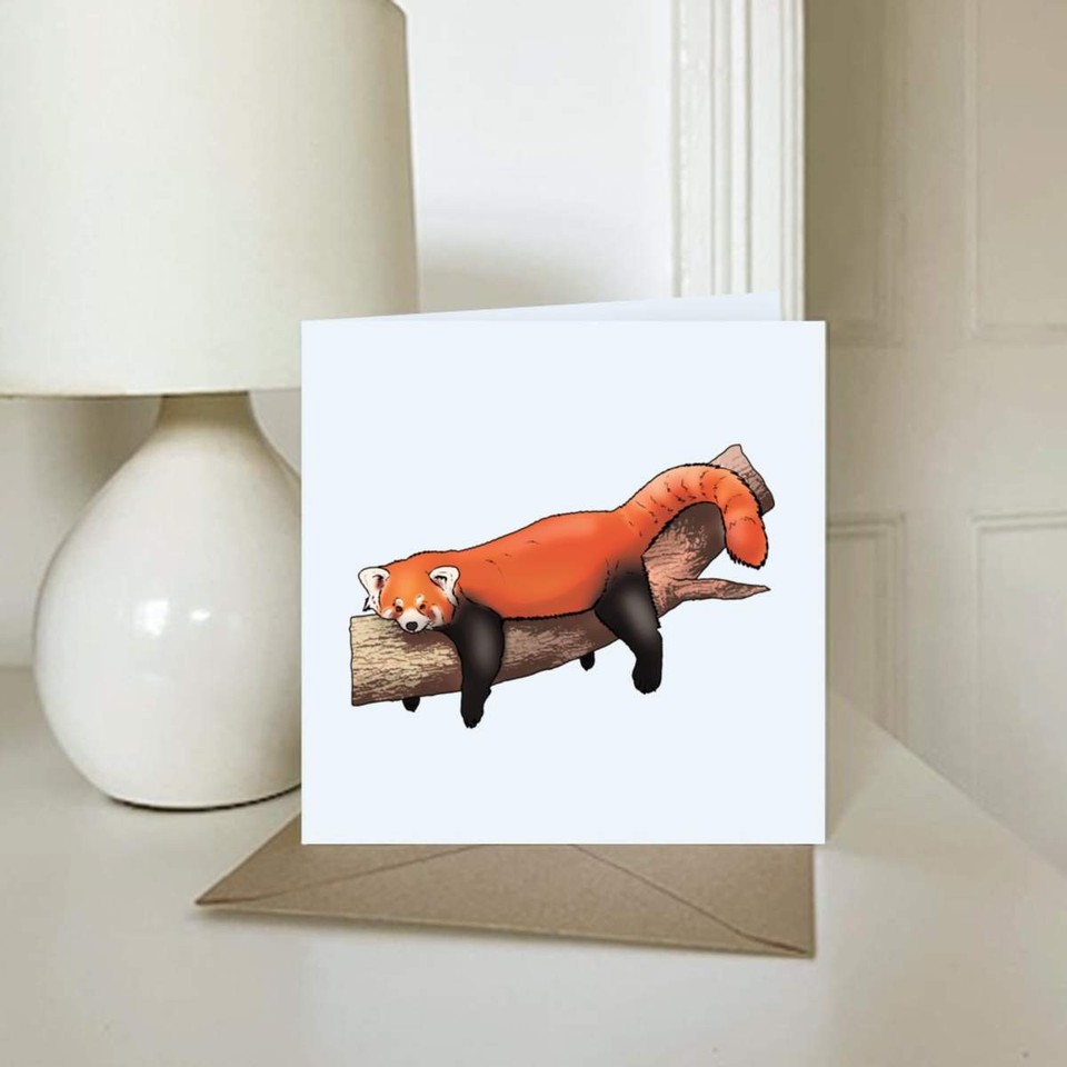 'Lazy Red Panda' Greeting Cards (GC040502) | eBay UK