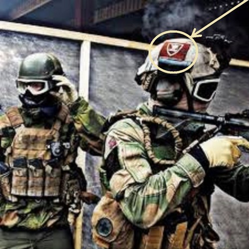 Elite Norwegian Army Mechanised Infantry unit Telemark Battalion TMBN ...