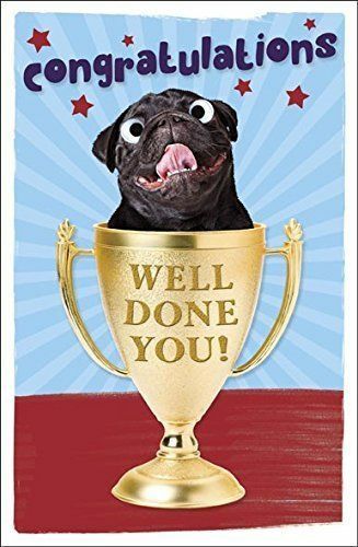 Congratulations Funny Dog