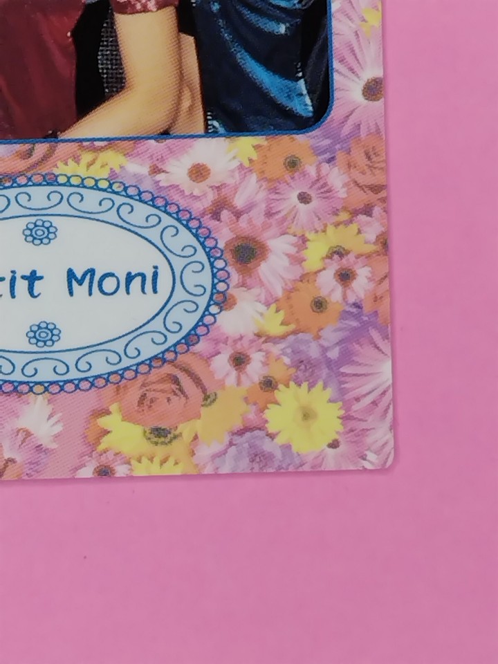 Petit Moni Morning Musume. TCG Japanese Idol COLLECTION CARD 2001 Amada ...