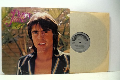 DAVY JONES davy jones self titled LP EX/VG, BELL 6067, vinyl, album ...