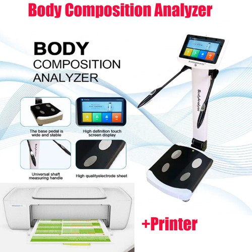 Professional Full Body Fat Analyzer Body Scanner Composition Analysis ...