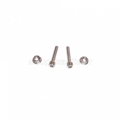 Vis Allen / BTR 6x25mm rondes x 2 | eBay