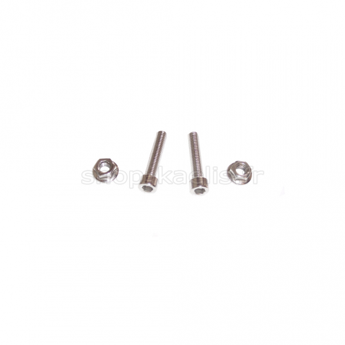 Vis Allen / BTR 6x25mm rondes x 2 | eBay