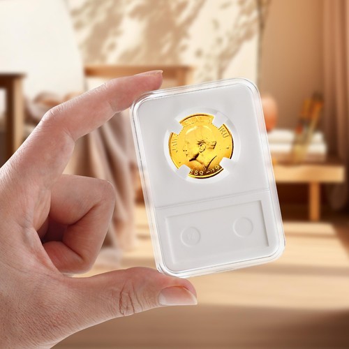 10 Packs 19mm Coin Slab Display Holder, Storage Case for NGC PCGS Grade ...