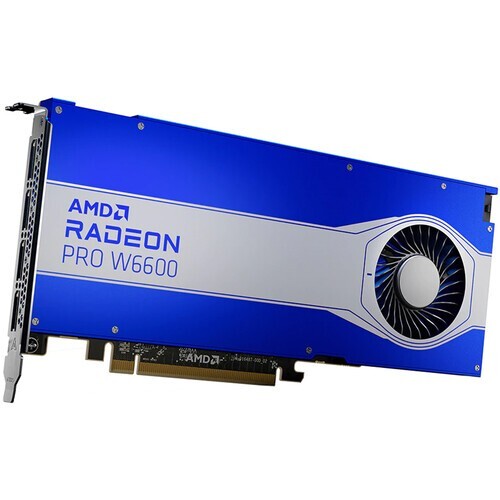 AMD Radeon Pro W6600 8GB GDDR6 Graphics Graphic Video Card GPU | eBay