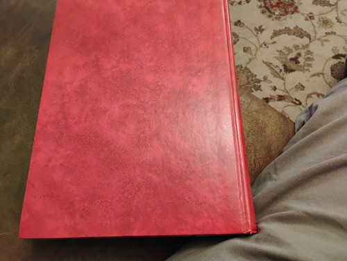 LARGE LIGHTHOUSE STOCK BOOK WITH 24 DOUBLE LEAVES IN GOOD CONDITION ...