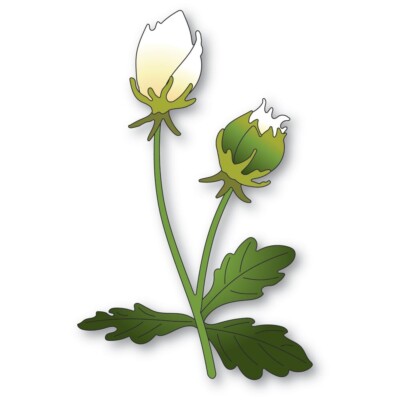 Memory Box Anemone Bud Duo Craft Die | eBay