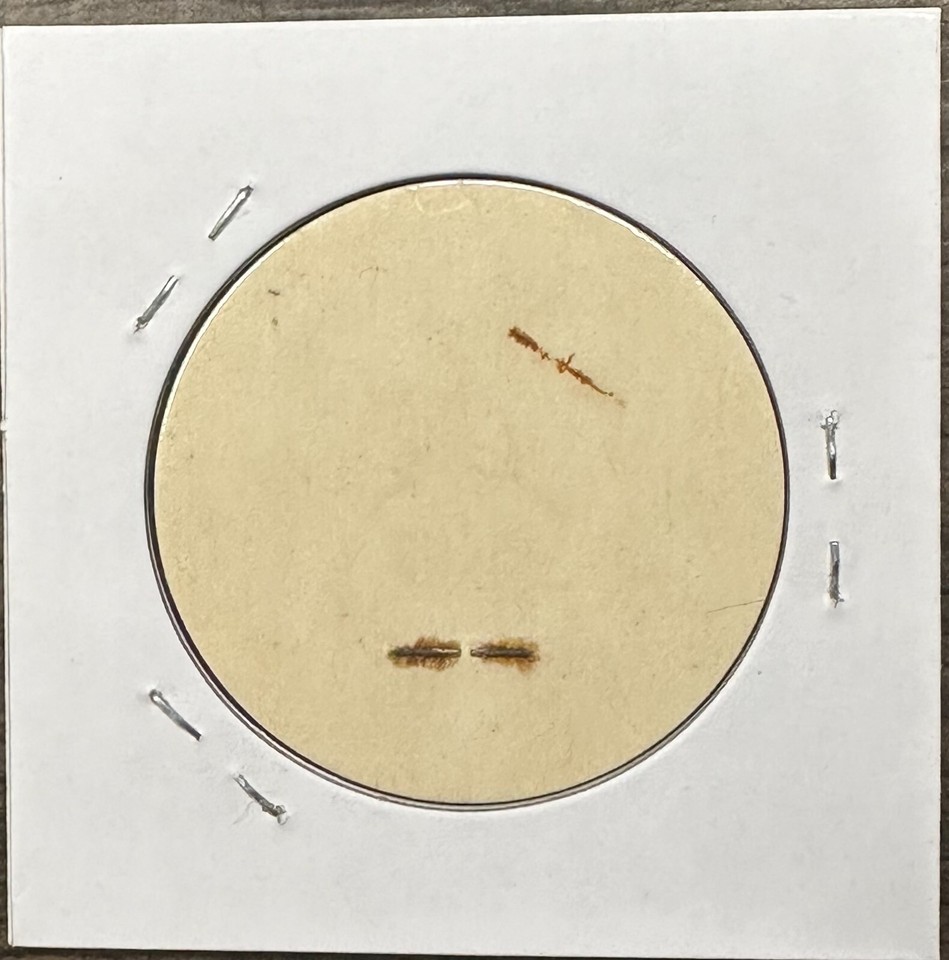 VINTAGE TRY OUR COTTAGE CHEESE ~ MILK CAP POG | eBay