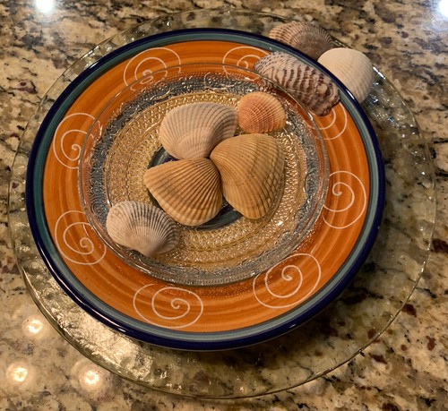 10 Inch Home Made Beach Plate With Shells | eBay