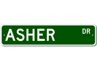 Asher Drive Street Sign Personalized Custom Last Name Metal Sign ...