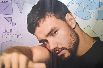 LIAM PAYNE - A3 Poster (42x28cm) - One Direction MERCH Clipping POPCORN ...