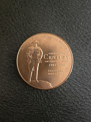 Commemorative Collector Coin Teddy Roosevelt | eBay