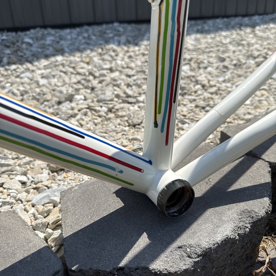 Dario Pegoretti Marcelo Road Frame Set With Chris King Headset | eBay