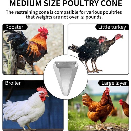 Galvanized Steel Chicken Cone Easy To Clean Flat Back Design Easy To ...