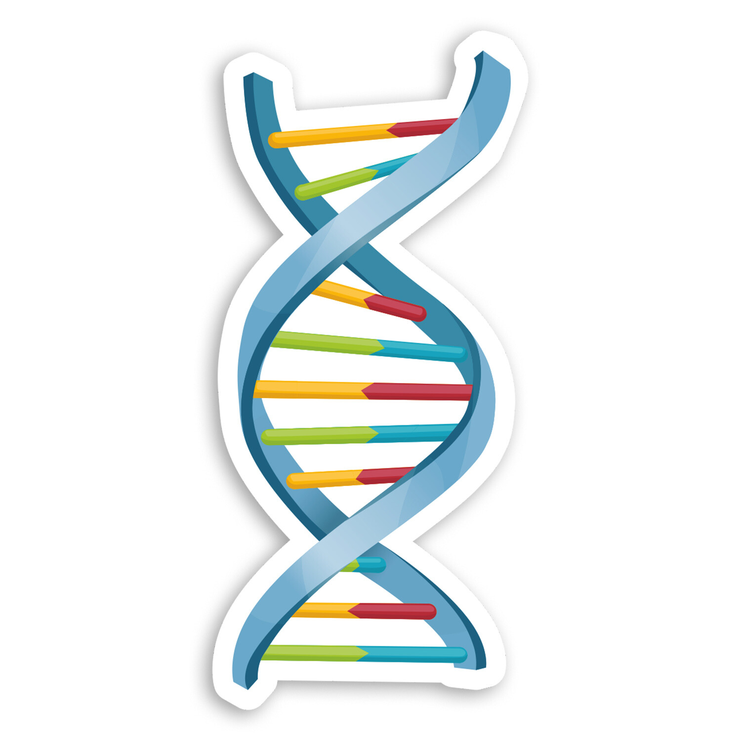 2 x 10cm DNA Double Helix Vinyl Stickers - Science Biology Uni Sticker ...