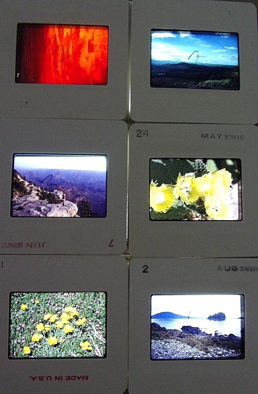 6 Original Vintage 35mm Kodak Photo Color Slide Nature Kodachrome ...