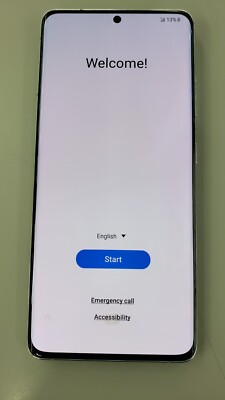 Samsung Galaxy S21 Ultra 5G G998 128GB Unlocked - SHADOW SCREEN | eBay