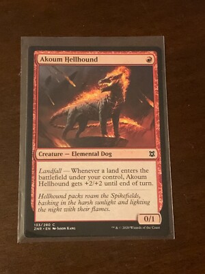 Magic the Gathering Zendikar Rising Akoum Hellhound | eBay