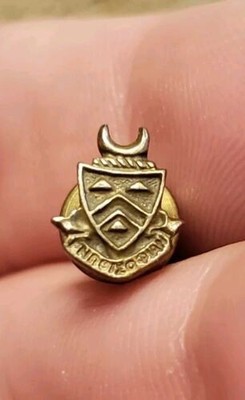 Rare Vintage Gold Tone Unknown Fraternity Sorority Crest Pledge Pin | eBay