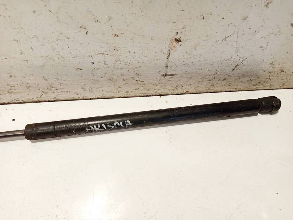 Trunk Luggage Shock Lift Cylinder, Gas Pressure Spring - REAR f ...