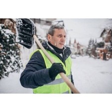 Auto Spade for sale | eBay