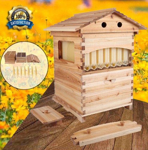 7x Auto Seeping Beehive Honey Hive Frames+Beekeeping Brood Cedarwood ...