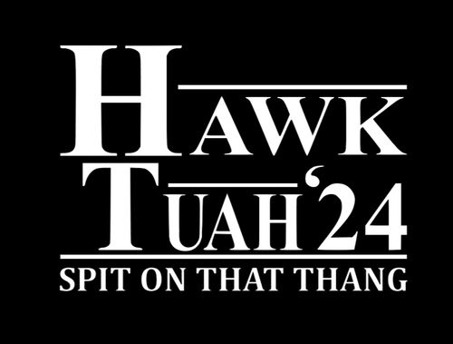Hawk Tuah, Spit on that Thang, 24 funny Vinyl Sticker Window Decal Car ...
