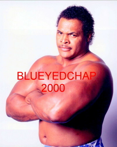 BUTCH REED WRESTLER 8 X 10 WRESTLING PHOTO WWF WCW | eBay