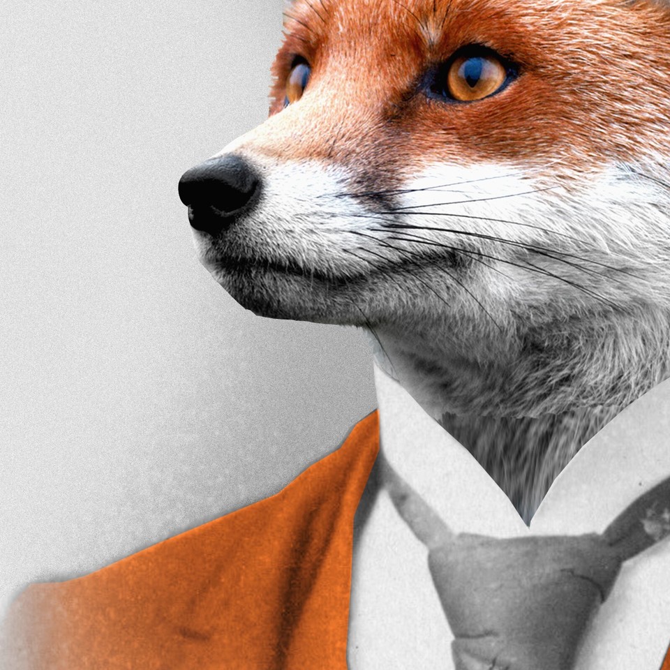 FOX Portrait ART PRINT Quirky Funny Animals as a Person People Head in ...