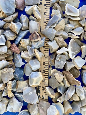 BEAUTIFUL COLORFUL Texas Chert/Jasper ~ Rough Rock For Tumbling ~ 8+ LB ...