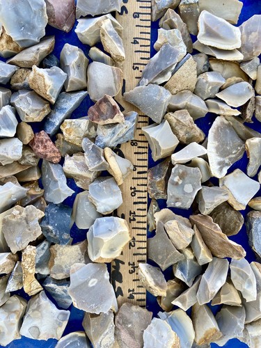 BEAUTIFUL COLORFUL Texas Chert/Jasper ~ Rough Rock For Tumbling ~ 8+ LB ...