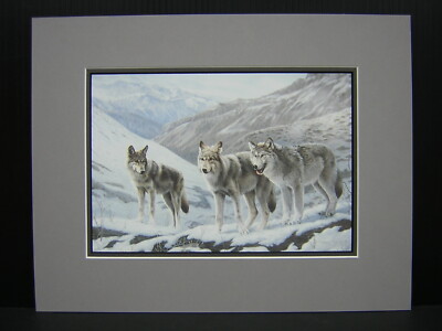 Charles Frace The Lesson Wolf Wolves Matted Mini Art Print | eBay