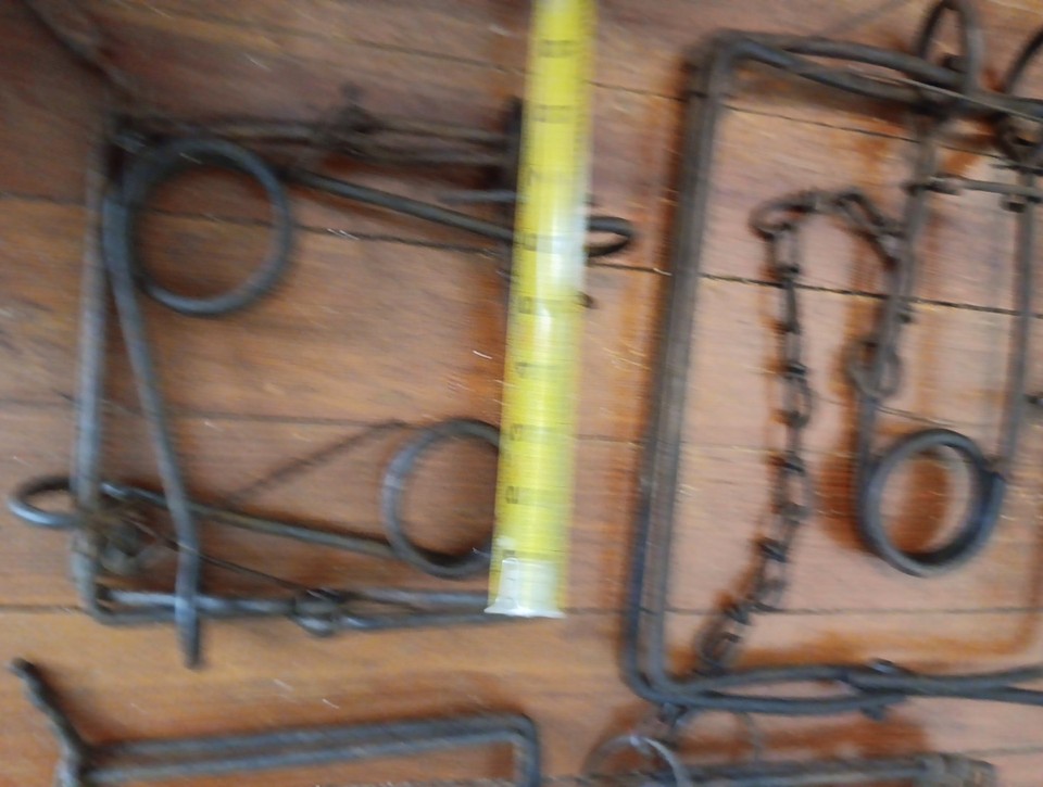 (1) 330 Conibear w/ One Spring & (3) 220 Conibear Traps | eBay