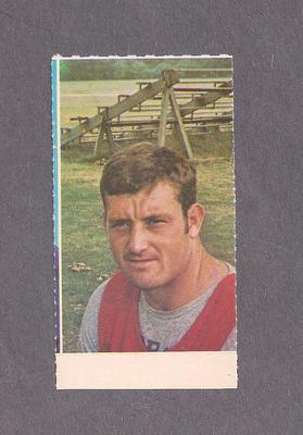 1969 Glendale Stamps Larry Hand, Detroit Lions | eBay