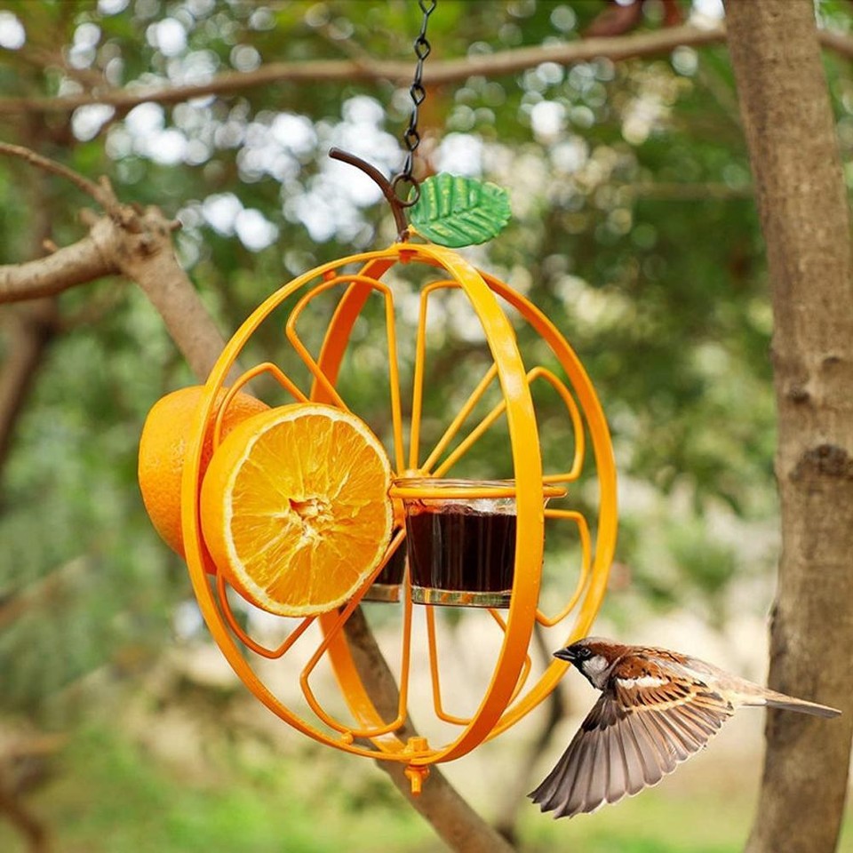 Oriole Feeders Outdoors Jelly & Orange Metal Bird Feeder Garden Wild ...