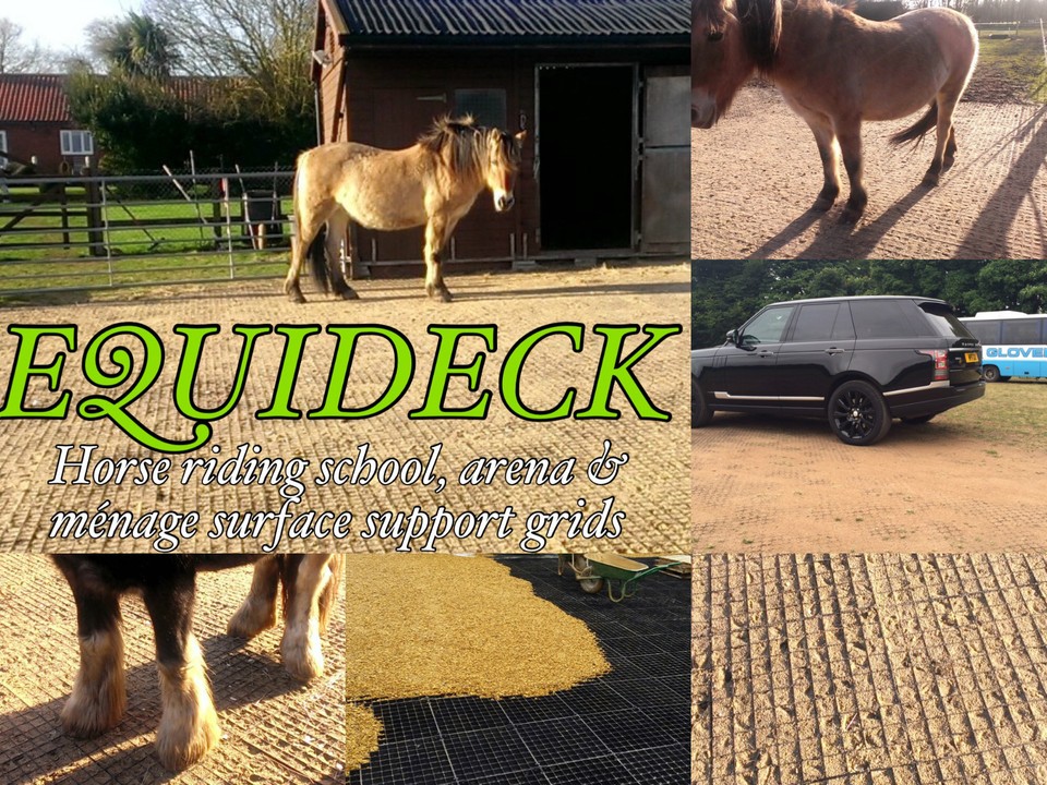 HORSE RIDING MENAGE GRID+GEOTEXTILE MEMBRANE SHEET EQUINE SCHOOL ...