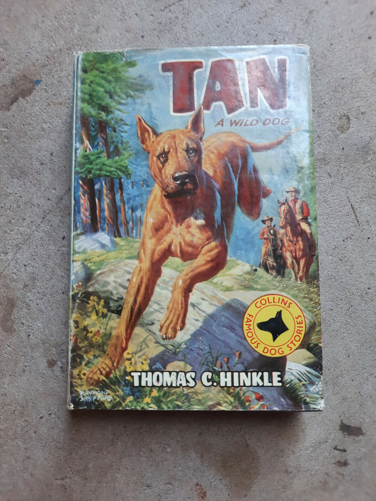 Trueboy: The Story of a Great Dog by Thomas C Hinkle (Paperback, 2021 ...