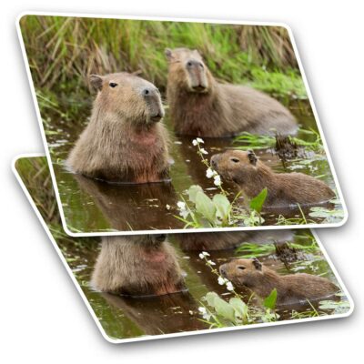 2 x Rectangle Stickers 7.5 cm - Capybara Swimming Family Cool Gift ...
