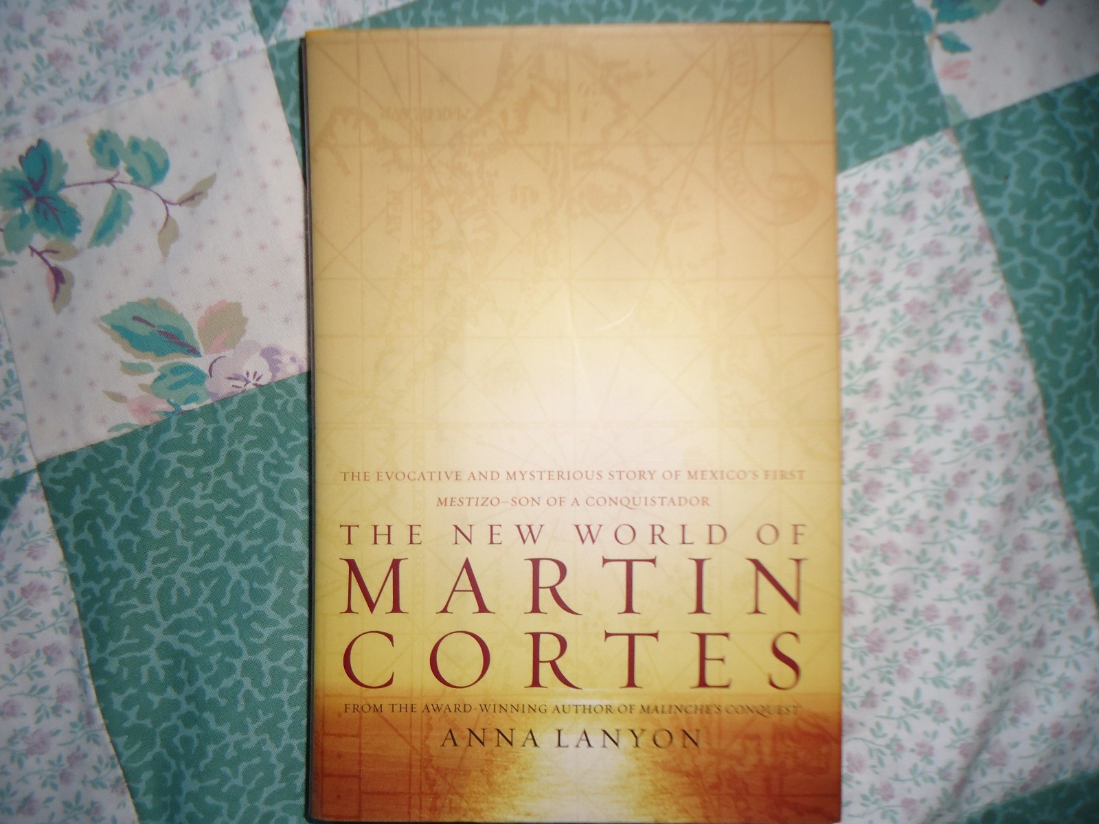 ^^NEW^^The New World of Martin Cortes by Anna Lanyon (2003, Hardbound ...