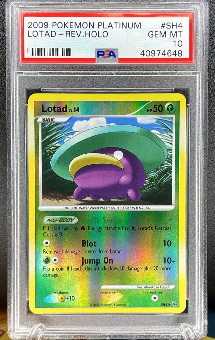 lotad For Sale - MAVIN