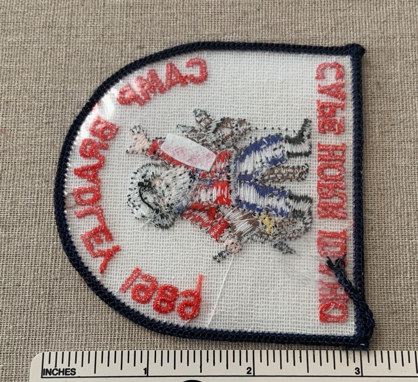 1989 CAMP BRADLEY Cape Horn Idaho Boy Scout Uniform Badge PATCH BSA ...