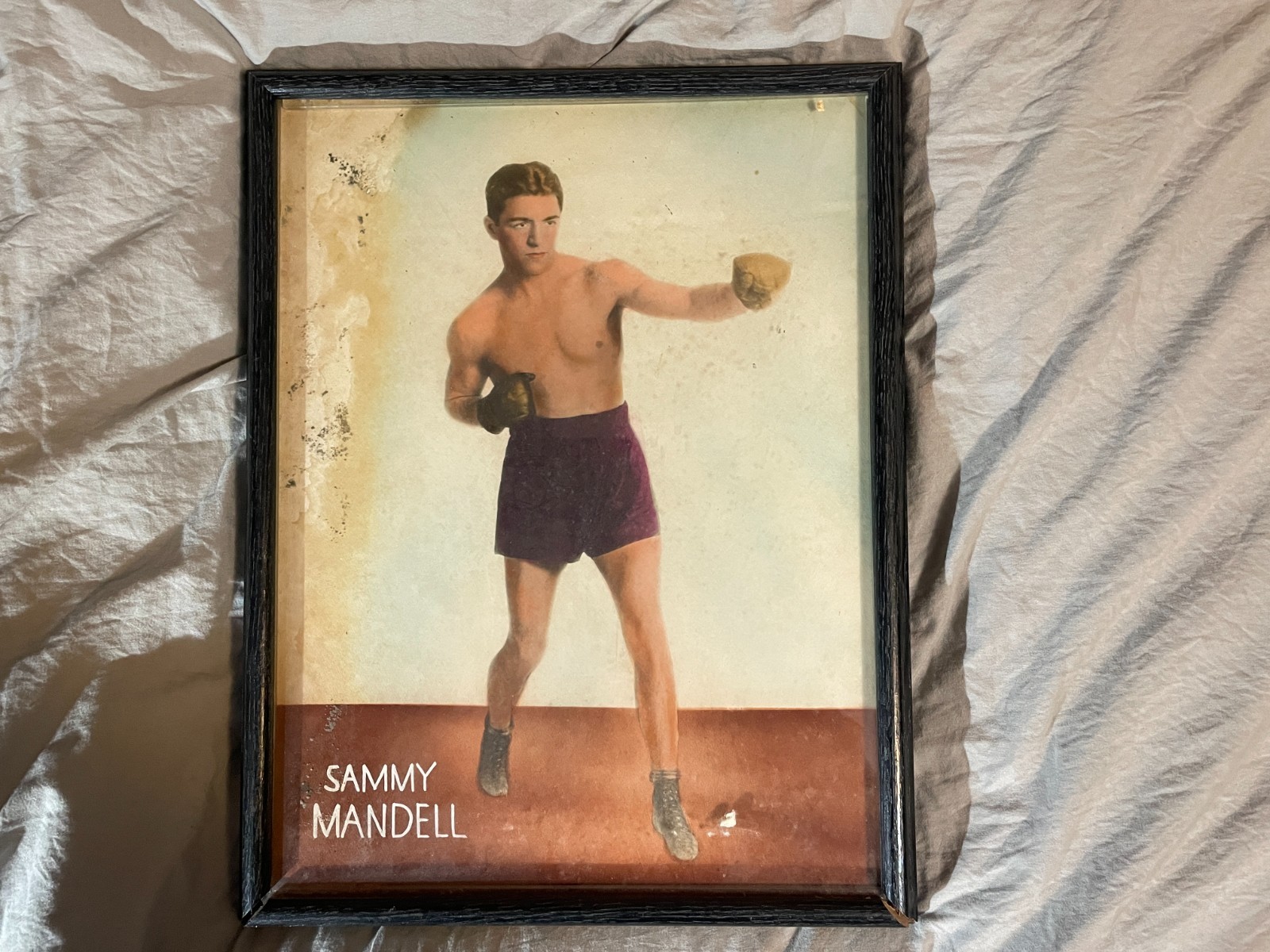 Sammy Mandell Boxing Champion Framed Tinted Photo / Painting? 1920's ...