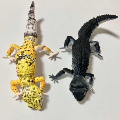 Bandai Gashapon Leopard Gecko Action Figure ADVANCE High Yellow & Black ...