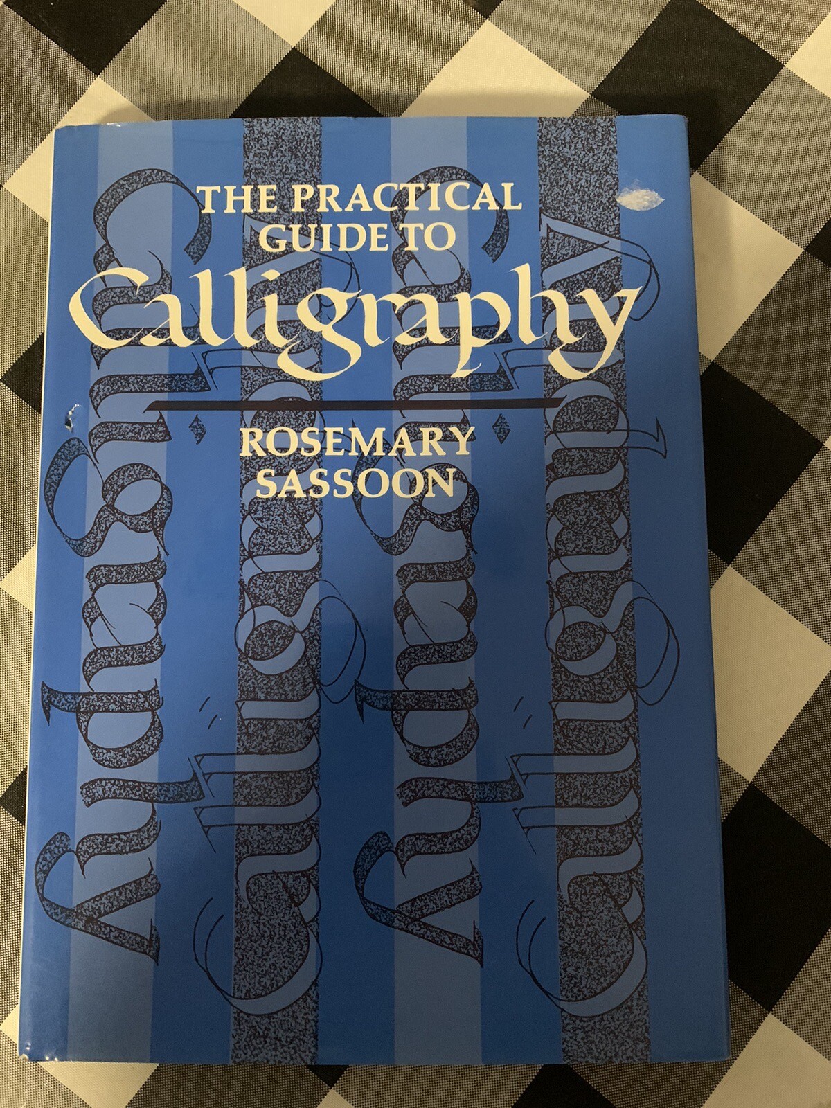 The Practical Guide to Calligraphy by Rosemary Sassoon (1982, Hardcover ...