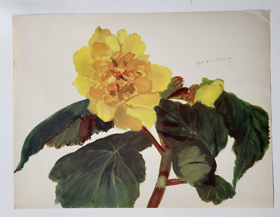 Arlette Davids Lithograph Color Plate Vintage Botanical Floral Art ...