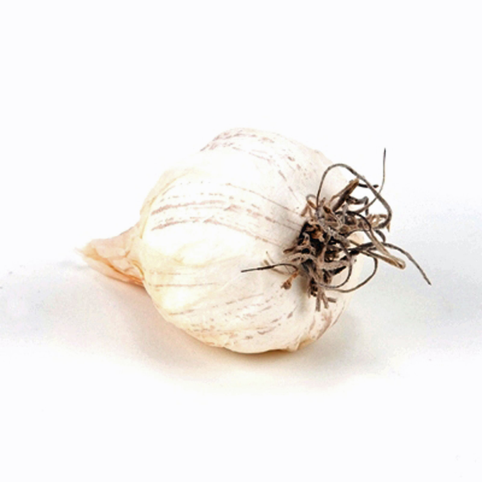 Artificial Garlic Decorative Fake Vegetable, Box of 12 | eBay