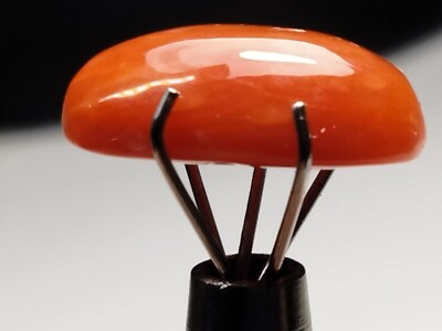 AESTHETIC NATURAL ELONGATED OVAL SHAPE RED CORAL 3.15 CT 12.25 X 7.35 X ...