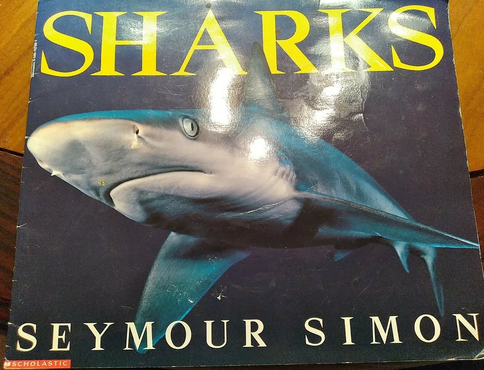 Sharks by Seymour Simon (PB) | eBay